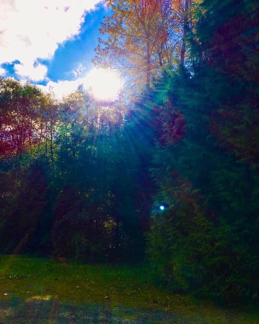 PULSE of Creation . . . – Way of the Feminine Force